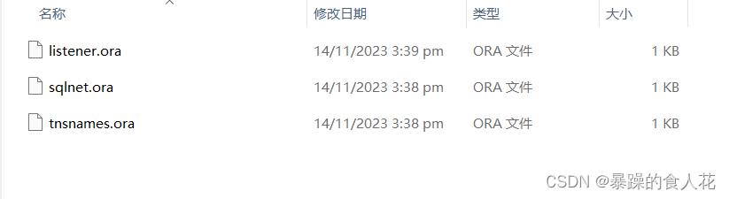VMware虚拟机(WindowsServer2022)安装Oracle19c_windows server 2022 安装oracle 19c-CSDN博客