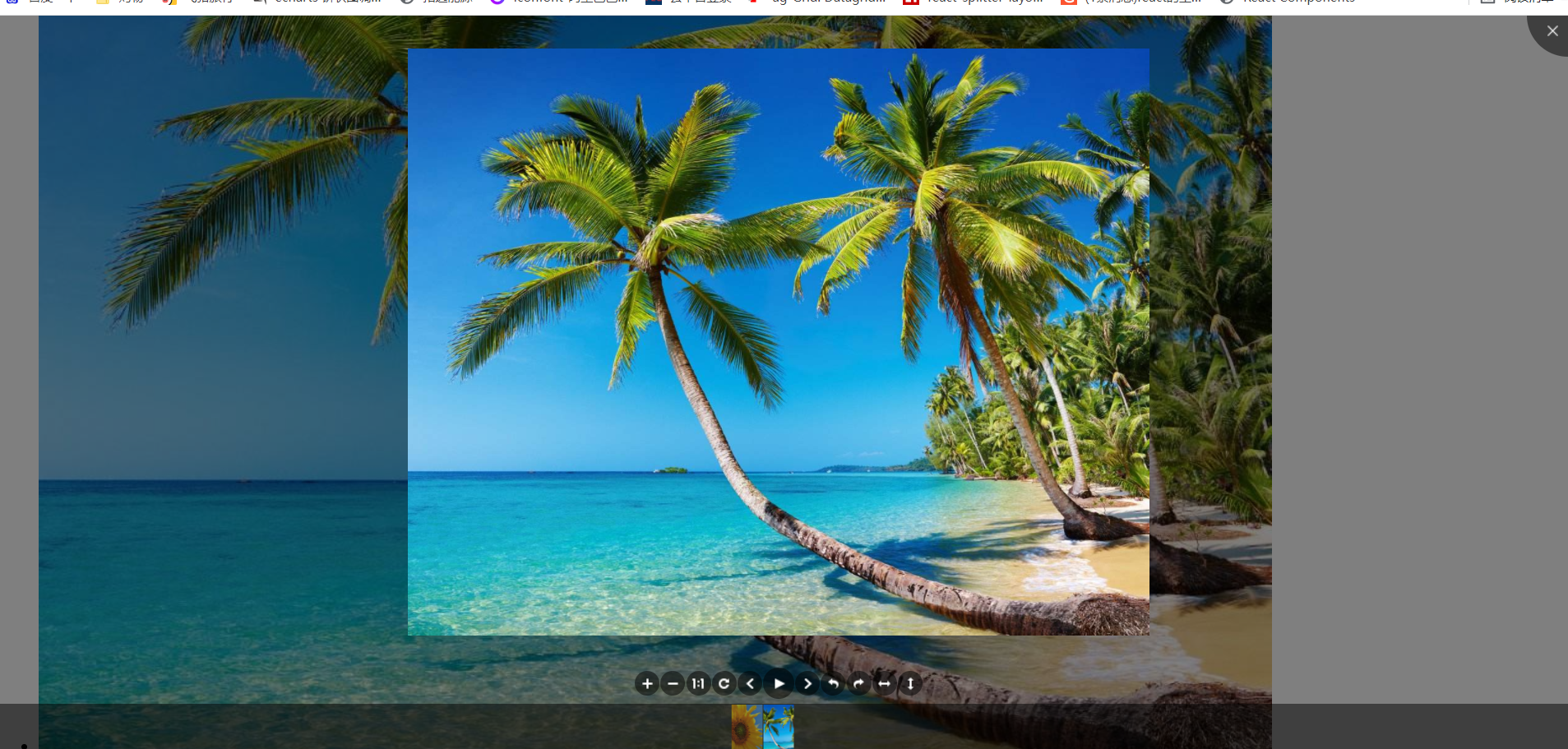 Viewer前端图片预览工具_viewer.css-CSDN博客