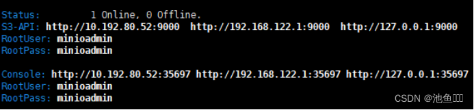Minio linux安装步骤以及集群 以及问题解决 内网外网通用_内网访问minio-CSDN博客