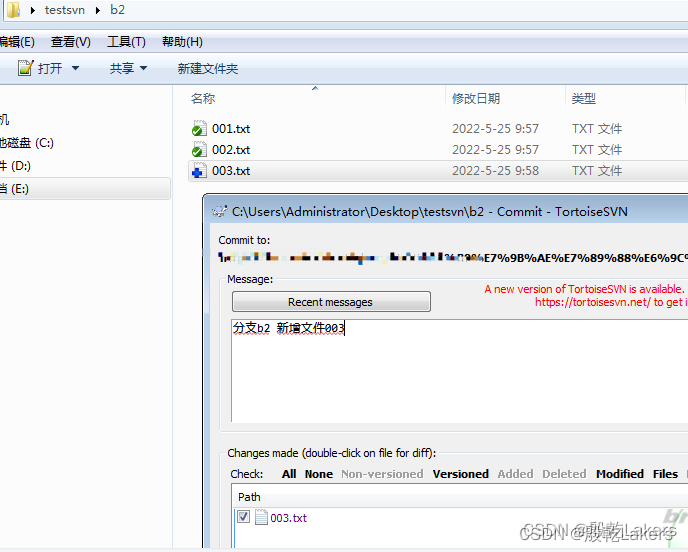 Svn分支管理 Csdn博客 