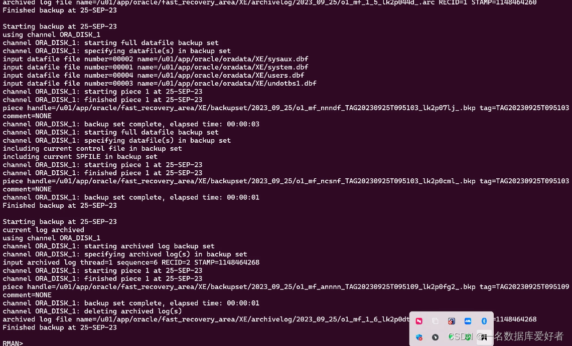 Oracle rman 备份恢复使用_rman 会备份用户么-CSDN博客