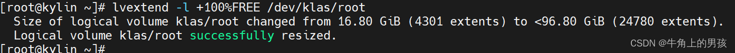 Kylin ext3/4 xfs手动扩容根分区_kylin-server-v10.gfb-release-2204-build03.arm64.is-CSDN博客