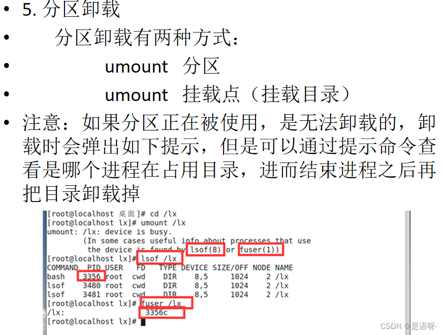 Linux_linux xterm-CSDN博客