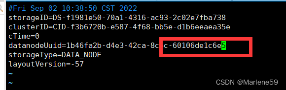 明明启动了三个DataNode，hadoop集群只显示一个datanode监控呢_hadoop集群启动成功后,监控只显示一个-CSDN博客