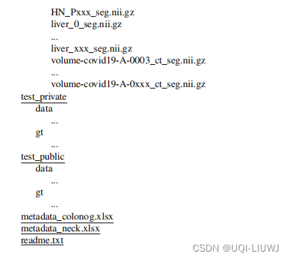 论文笔记：CTSpine1K: A Large-Scale Dataset for Spinal Vertebrae Segmentation ...