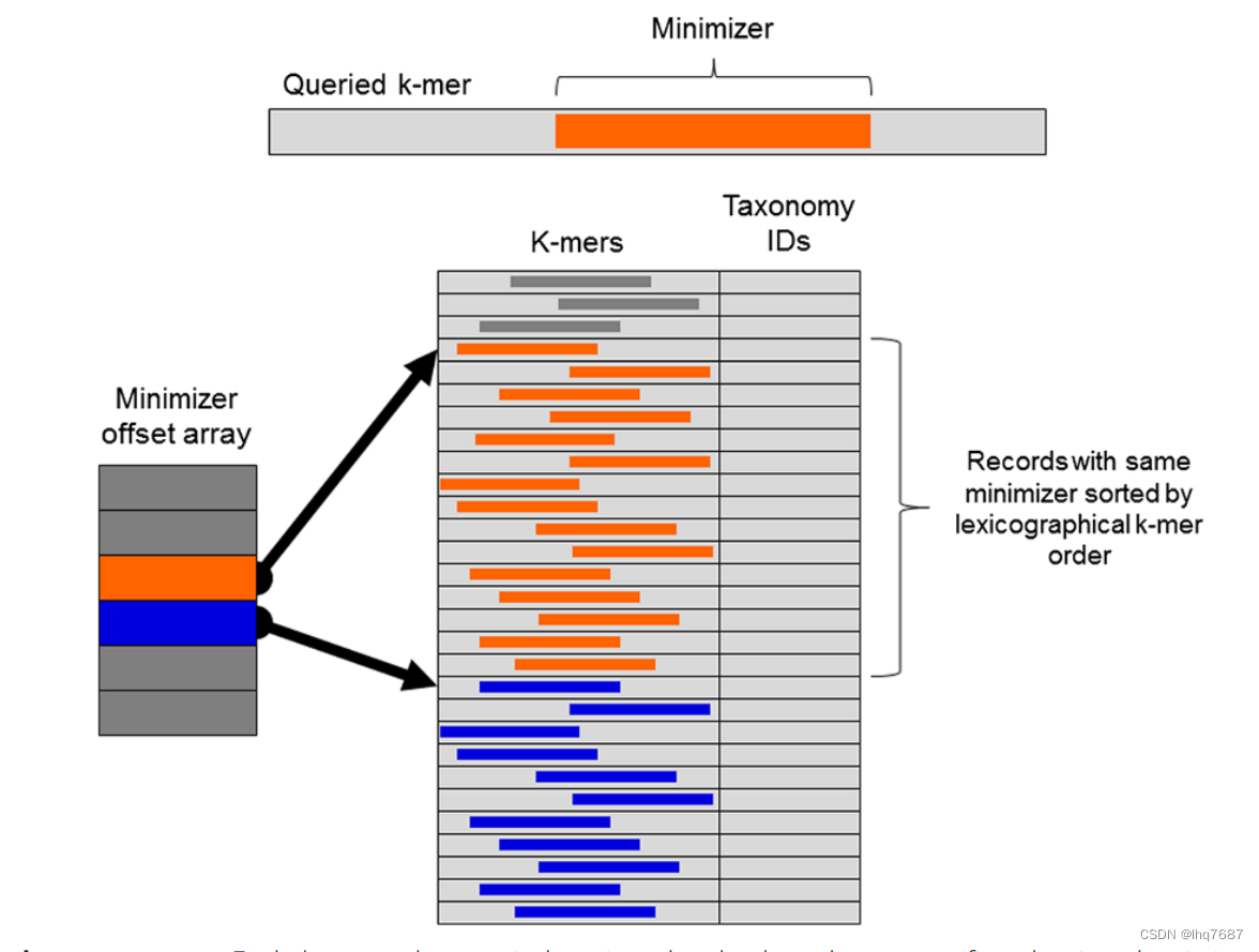 k-mer matching算法以及它存储受限的原因_k-mer匹配-CSDN博客