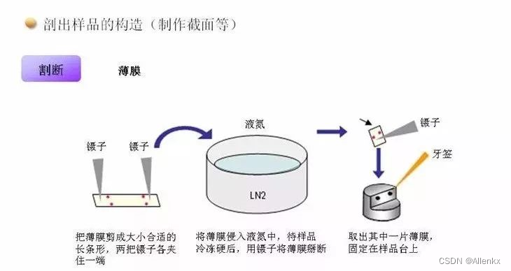 扫描电镜SEM制样方法大汇总-CSDN博客