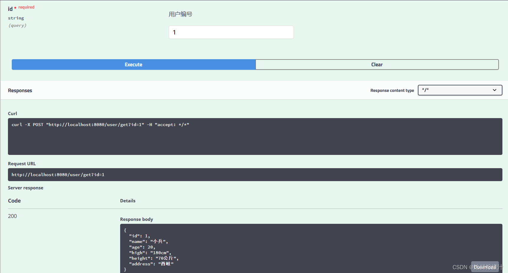 后端API接口文档Swagger的使用_swagger后端接口怎么使用-CSDN博客