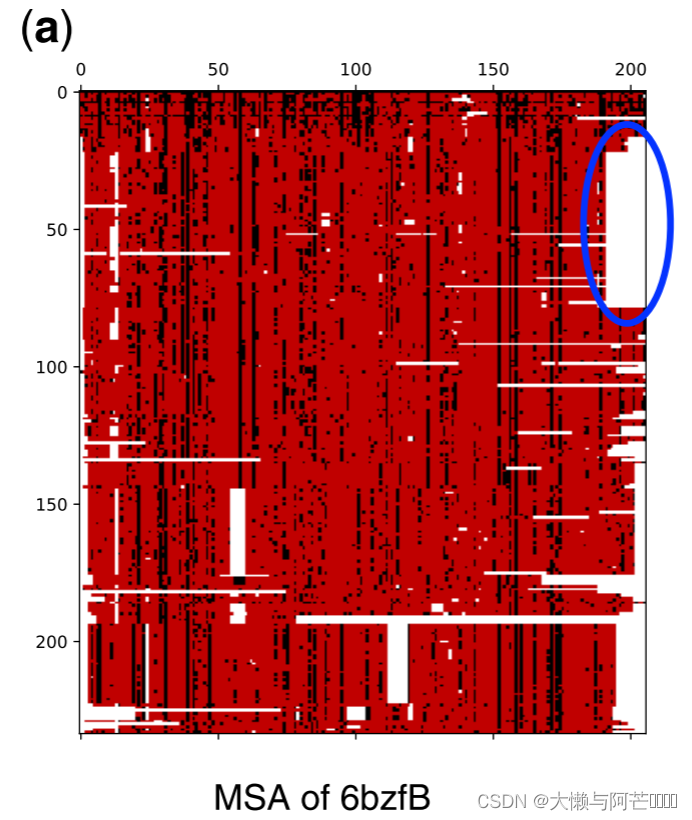 Seq-SetNet：直接利用多序列比对预测蛋白质二级结构_蛋白质二级结构预测进展-CSDN博客