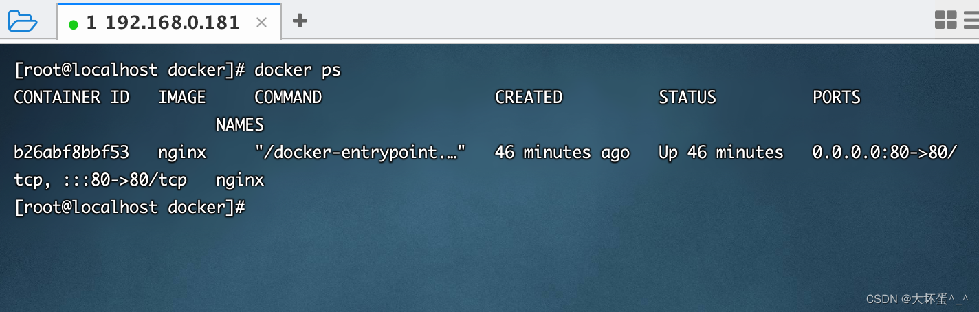 第06讲：Docker部署Nginx_docker中nginxlocal目录-CSDN博客