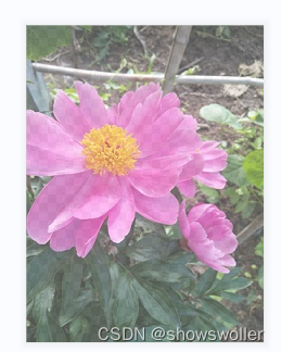 OpenCV中拆分通道、合并通道、alpha通道的讲解及实战演示（附python源码 超详细）_opencv图像通道拆分和合并-CSDN博客