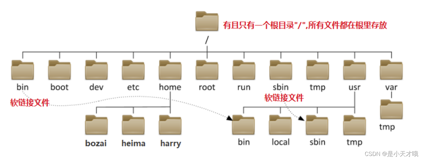 Linux的目录树和文件类型文件目录树 Csdn博客