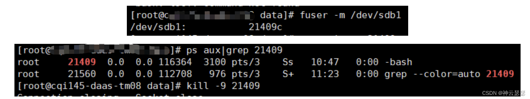 linux磁盘挂载之parted_parted挂载磁盘-CSDN博客