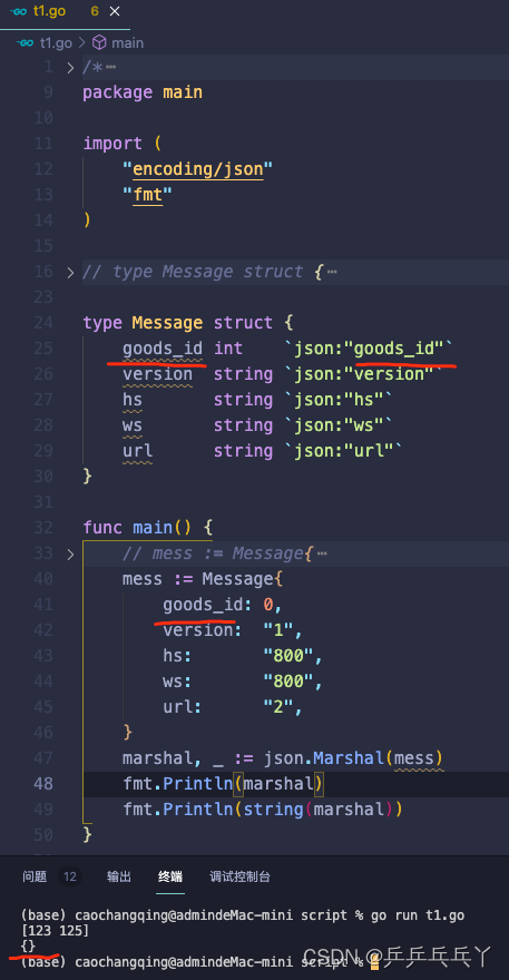 Go Jsonmarshal编码的结构体注意事项jsonmarshal 编码问题 Csdn博客
