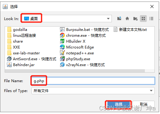 哥斯拉（Godzilla）下载与安装，使用木马连接教程_哥斯拉连接-CSDN博客