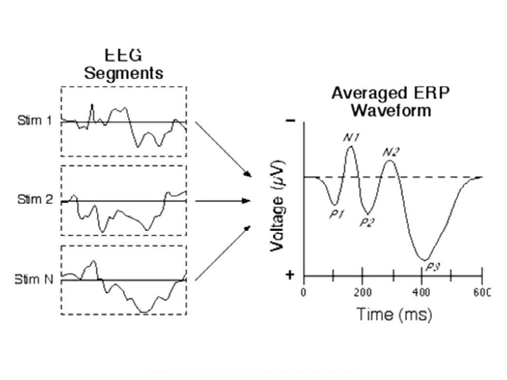脑电实验设计的原理与实例-EEG Processing and Feature 4-CSDN博客