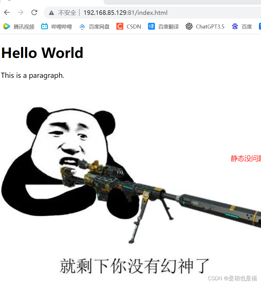 Nginx 实现动静分离 Csdn博客 
