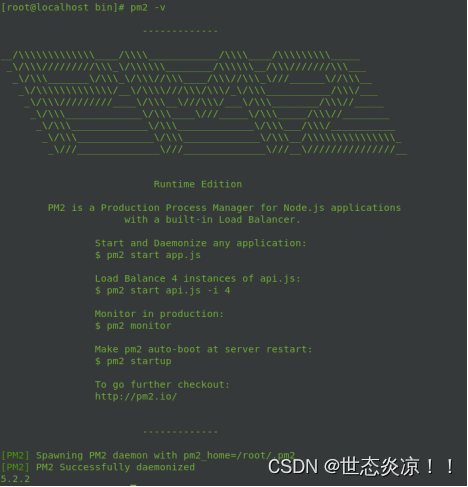 pm2离线在线安装_pm2离线安装-CSDN博客
