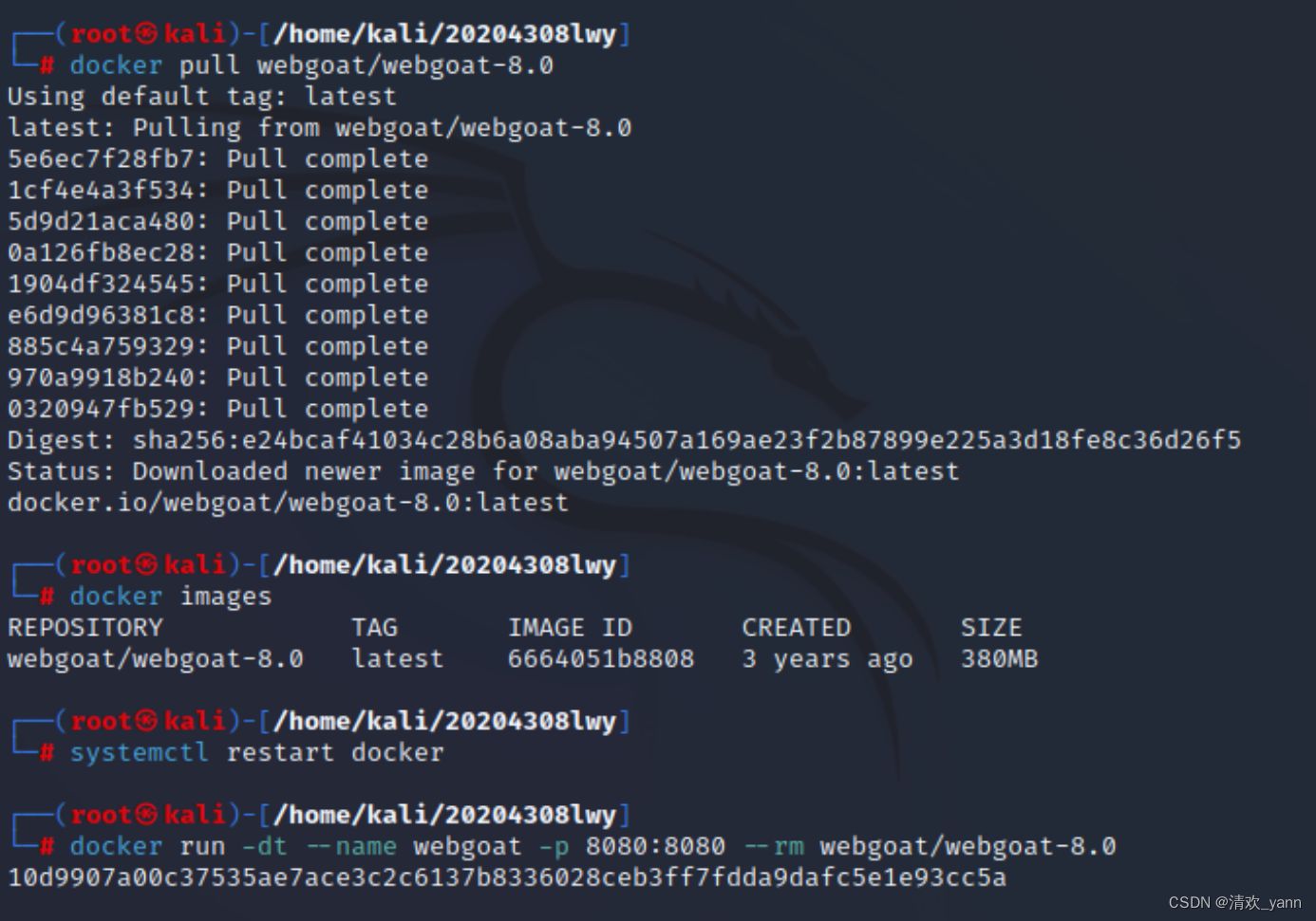 Exp8 Web安全 20204308李文艳_exp8 李文艳-CSDN博客