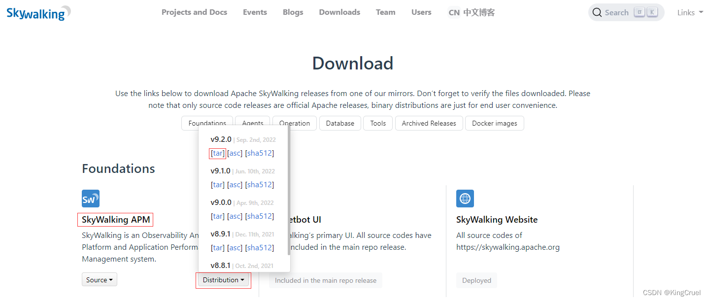 SkyWalking_skywalking webapp 用户-CSDN博客