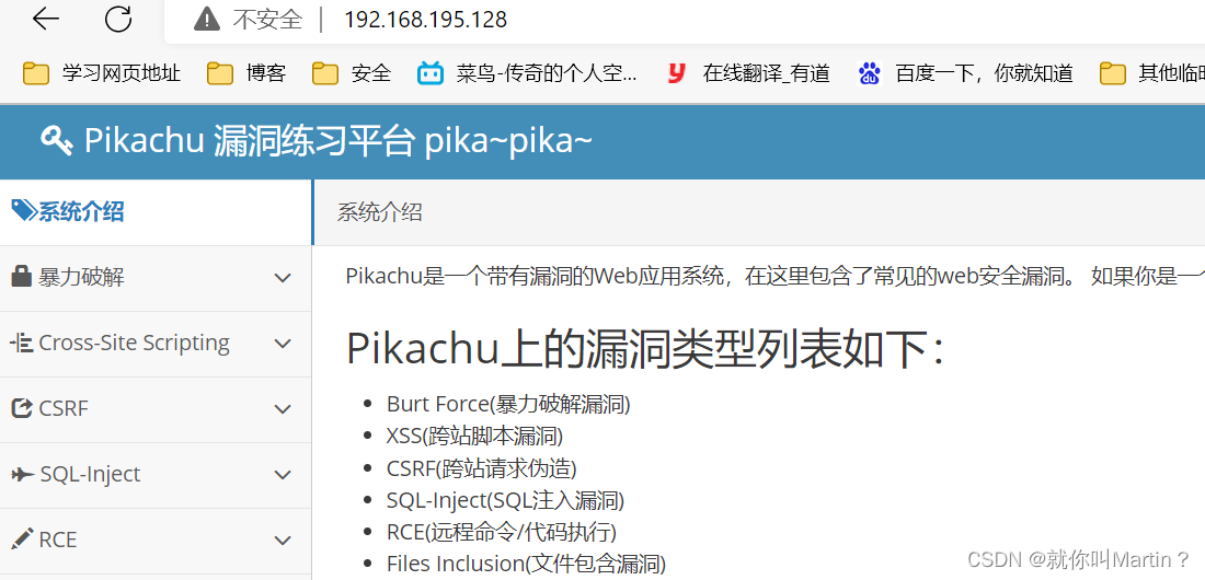 linux用小皮搭建pikachu靶场网站_小皮面板怎么搭建网站-CSDN博客