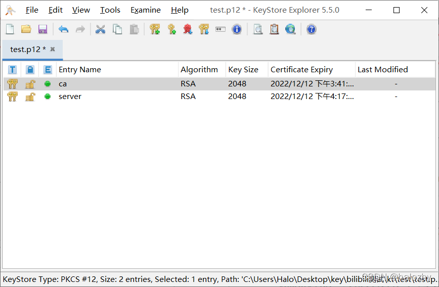 使用 Keystore Explorer 一个 Keytool 的 Gui 工具 签发带 San 的二级证书并导出为 P12 格式在 Springboot 中使用 Csdn博客 5480