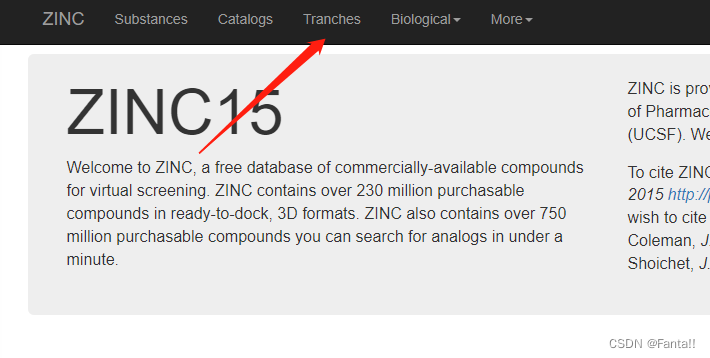 【超简单！】如何在ZINC库中批量下载虚拟筛选小分子数据集 （Windows环境下）_从zinc下载的smi格式文件怎么读取-CSDN博客