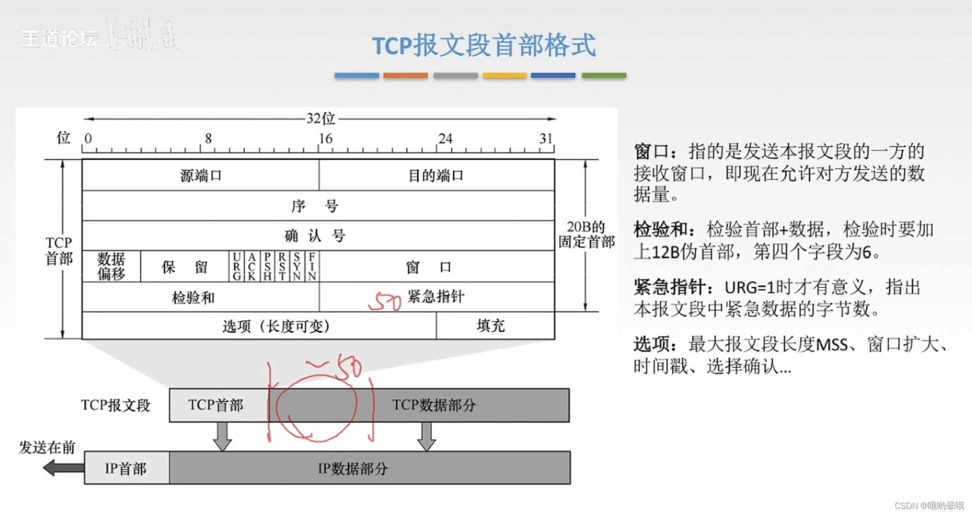 5.5 TCP首部格式-CSDN博客