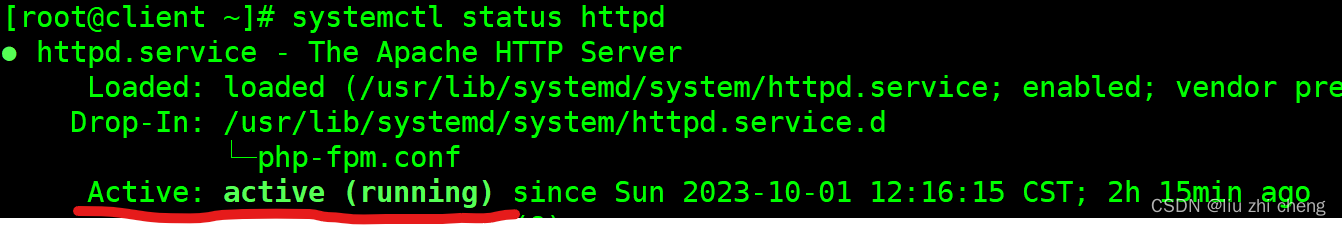 Linux--解决httpd启动或重启报错-CSDN博客