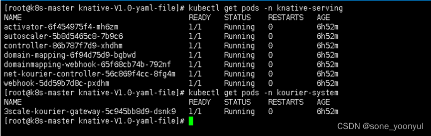 【精选】Knative v1.0.x安装全过程_knative安装-CSDN博客