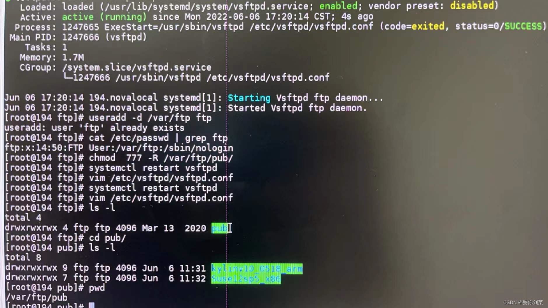 Linux安装配置vsftp服务器和配置匿名登录 在ftp Cybersecurity Cn服务器上在安装配置vsftpd服务器必须的包 限制匿名用户 Csdn博客