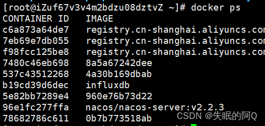 Docker下安装nacos2 2 3身份认证漏洞 Nacos 2 2 3漏洞 Csdn博客