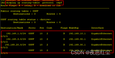 单区域OSPF基本配置_单区域ospf配置-CSDN博客