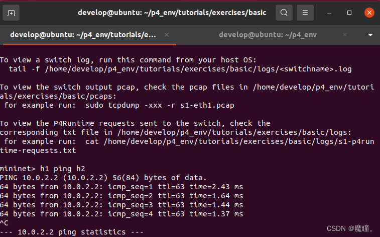 ubuntu20.04下P4环境搭建_ubuntu p4-CSDN博客