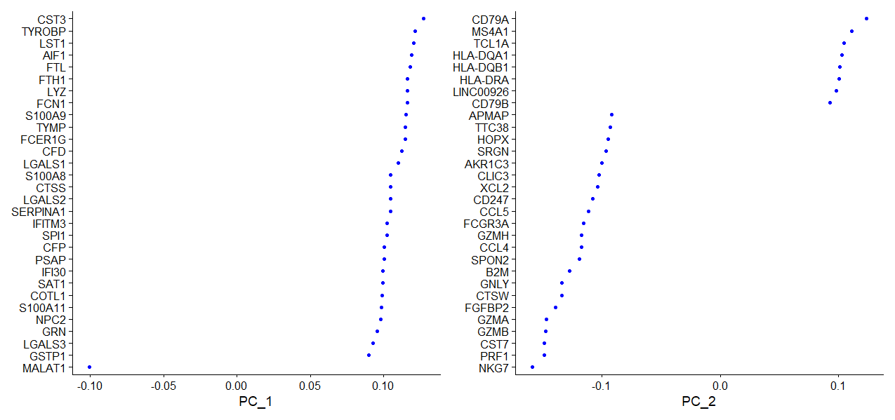 生信入门（六）——单细胞分析（Seurat）-CSDN博客