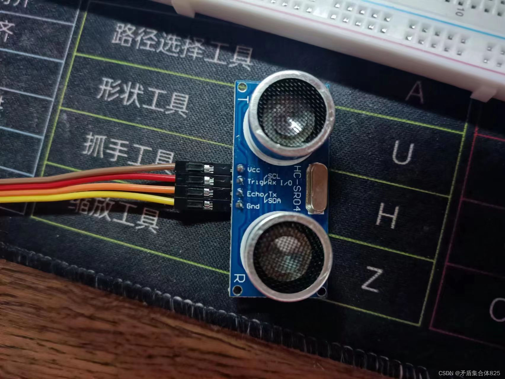 5.15-5.21学习记录-CSDN博客