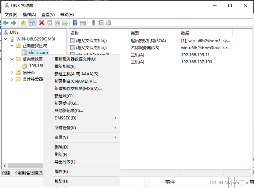 Winserver 2019 搭建主辅域名解析服务器_windows配置域名服务器-CSDN博客