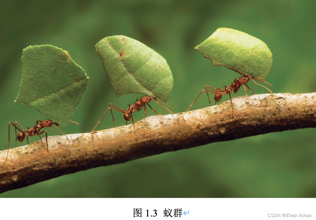 第1章-多智能体系统-CSDN博客