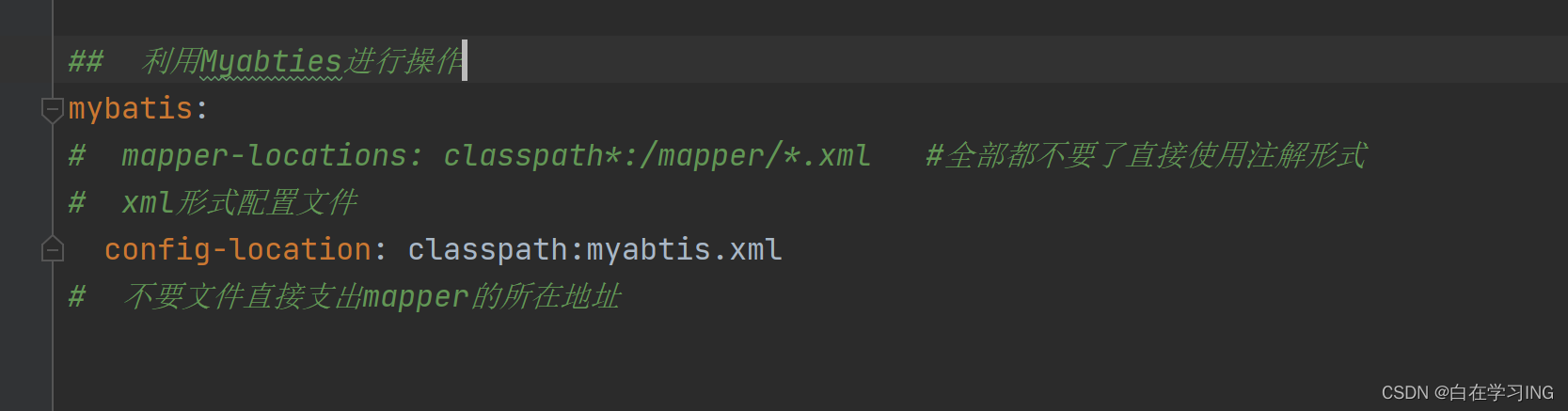 Springboot Mybatis的整合springoobt Myabits Mapper Csdn博客