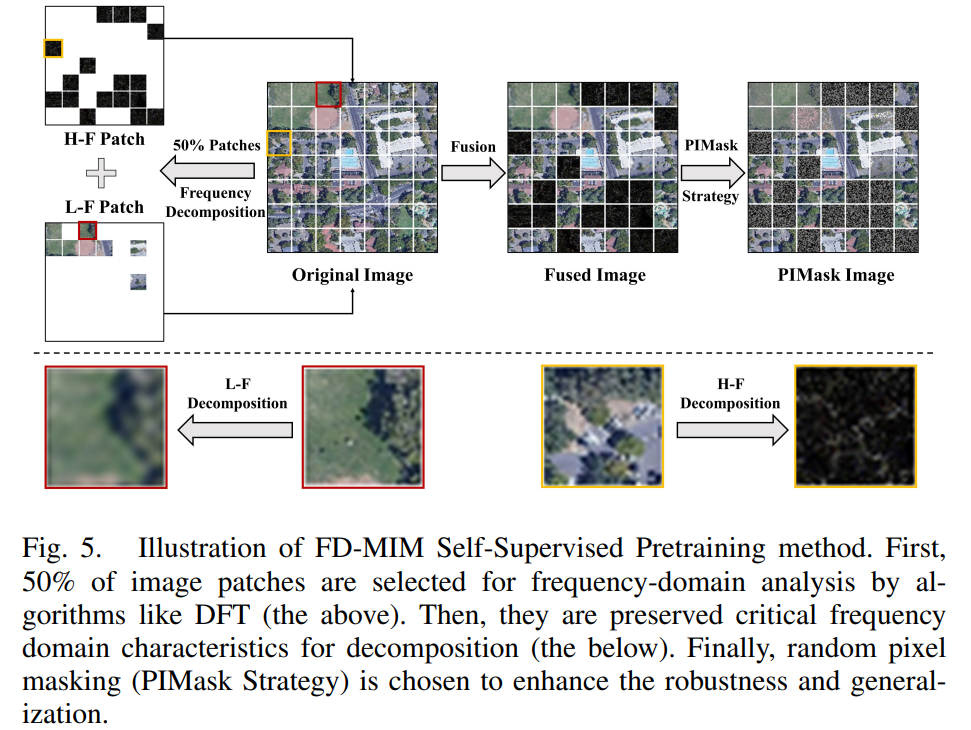 【arXiv2309】RingMo-lite: A Remote Sensing Multi-taskLightweight Network with CNN ...