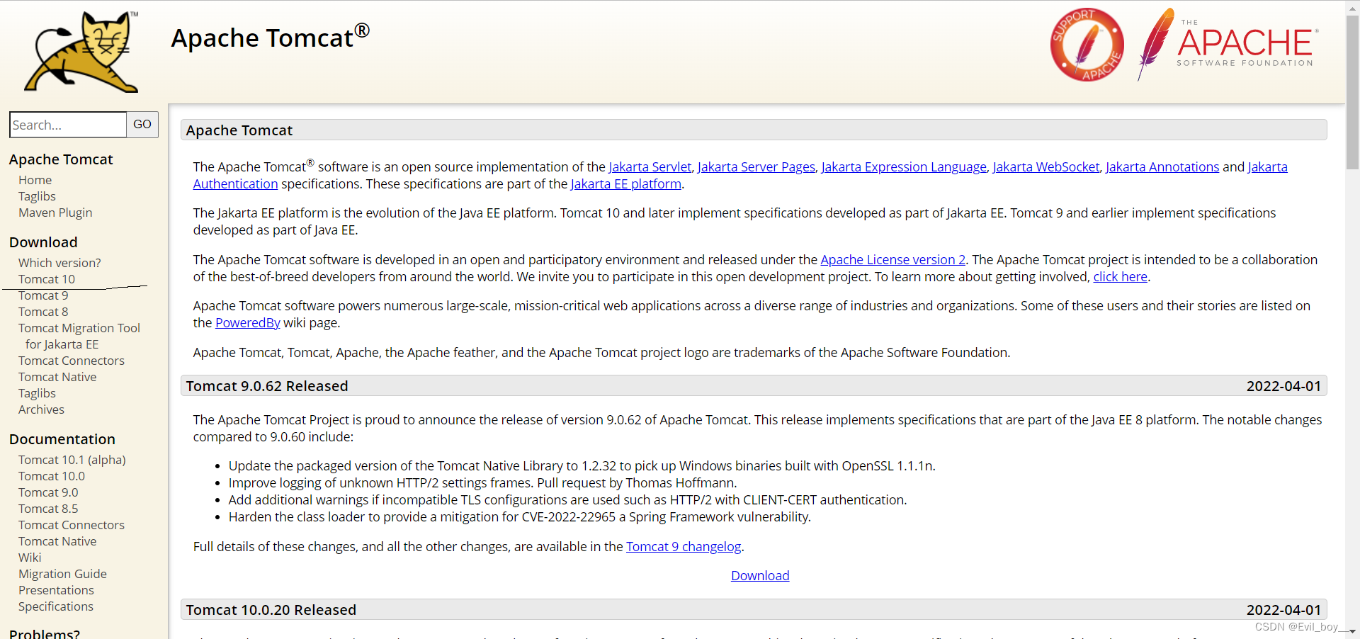 Tomcat10.0.20详解-CSDN博客