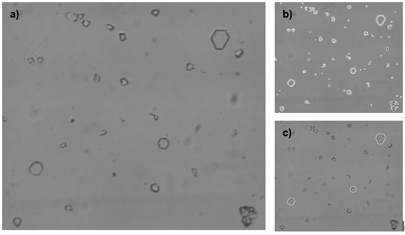 Halcon之Blob分析_halcon blob分析-CSDN博客
