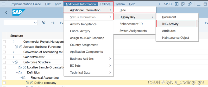 SAP GUI配置和操作小技巧_sap gui选项-CSDN博客