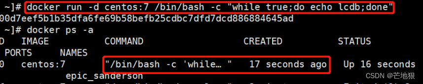 Docker之镜像、容器基础操作_docker 进入镜像_芒地狠的博客-CSDN博客