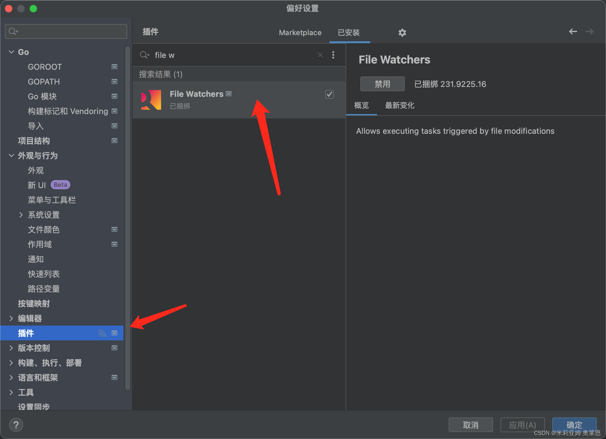 JetBrains GoLand for macOs 安装与配置-CSDN博客
