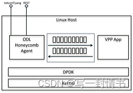 一、什么是VPP-CSDN博客