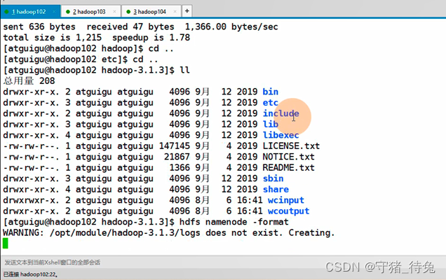 DateNode多目录配置_dfs.datanode.data.dir_守猪_待兔的博客-CSDN博客