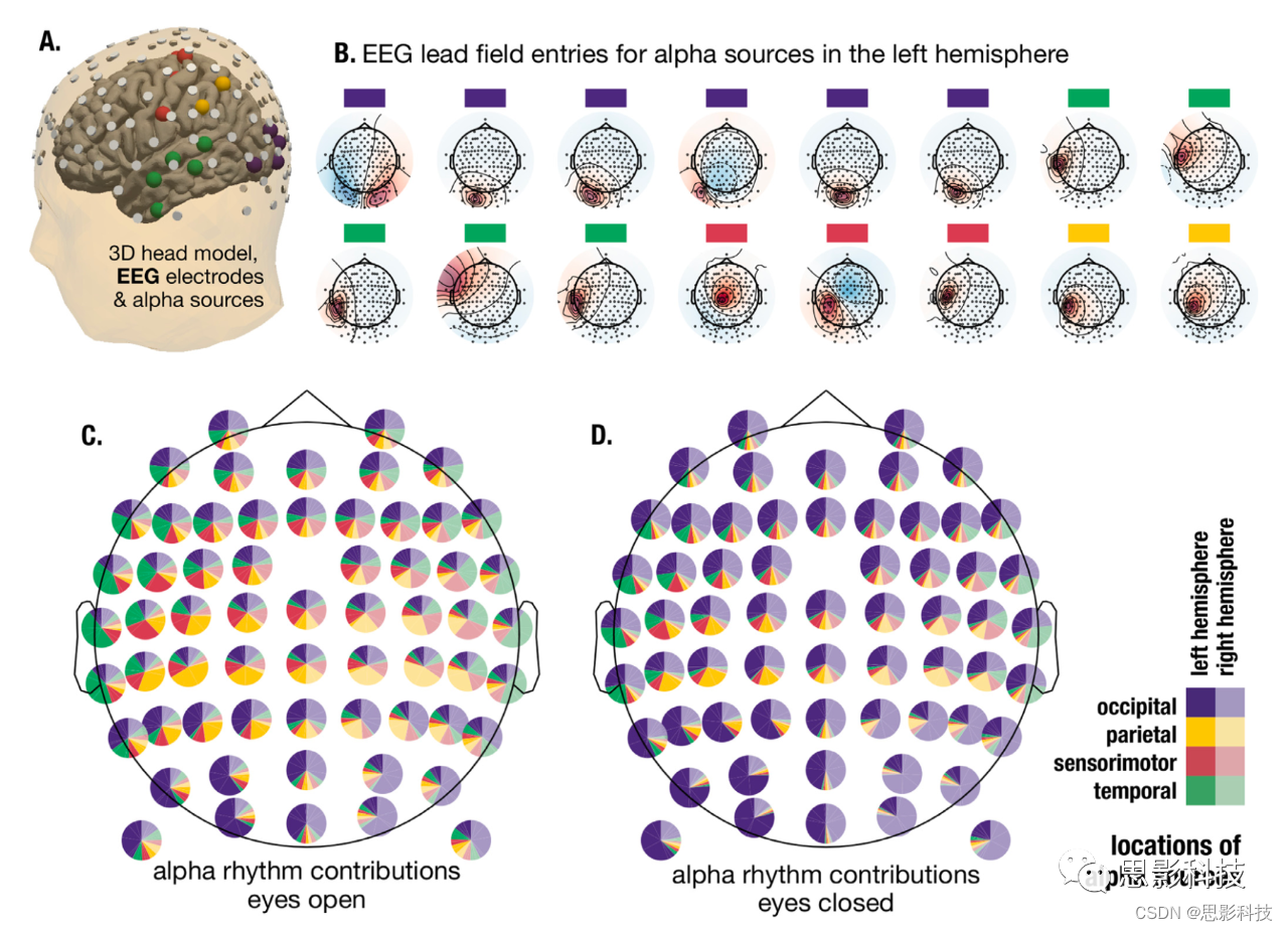 脑电/脑磁图传感器空间分析是否足够好?_容积传导-CSDN博客