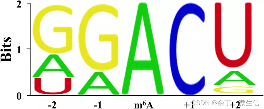 RNA m6A修饰问题汇总_m6a修饰位点预测-CSDN博客
